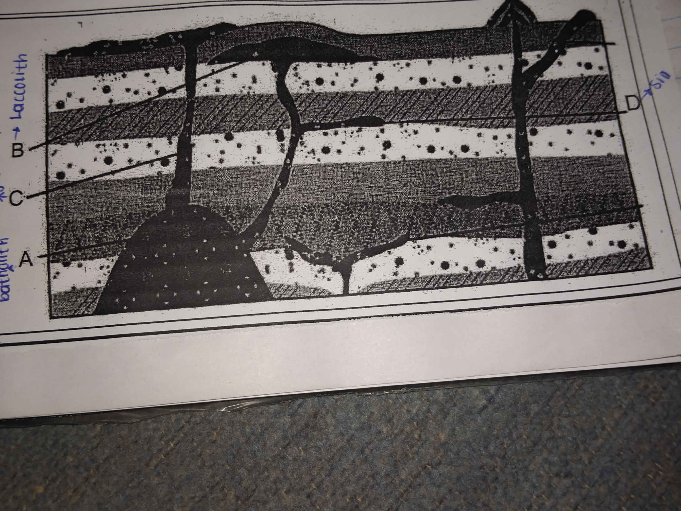 The image shows a geological diagram with | StudyX