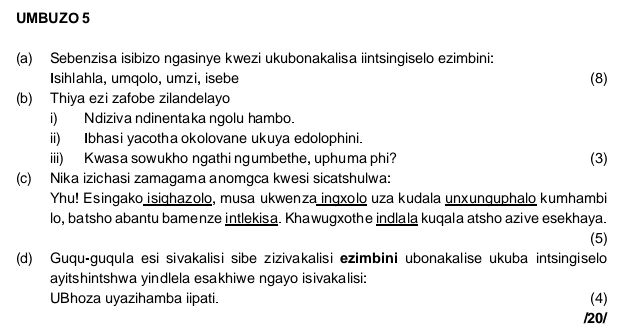 (a) Sebenzisa isibizo ngasinye kwezi | StudyX