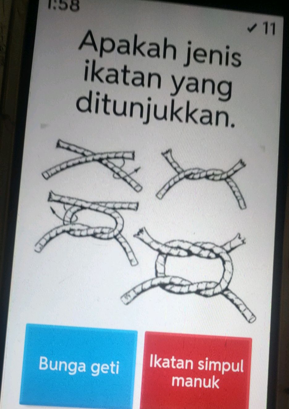 Apakah jenis ikatan yang ditunjukkan. Bunga | StudyX