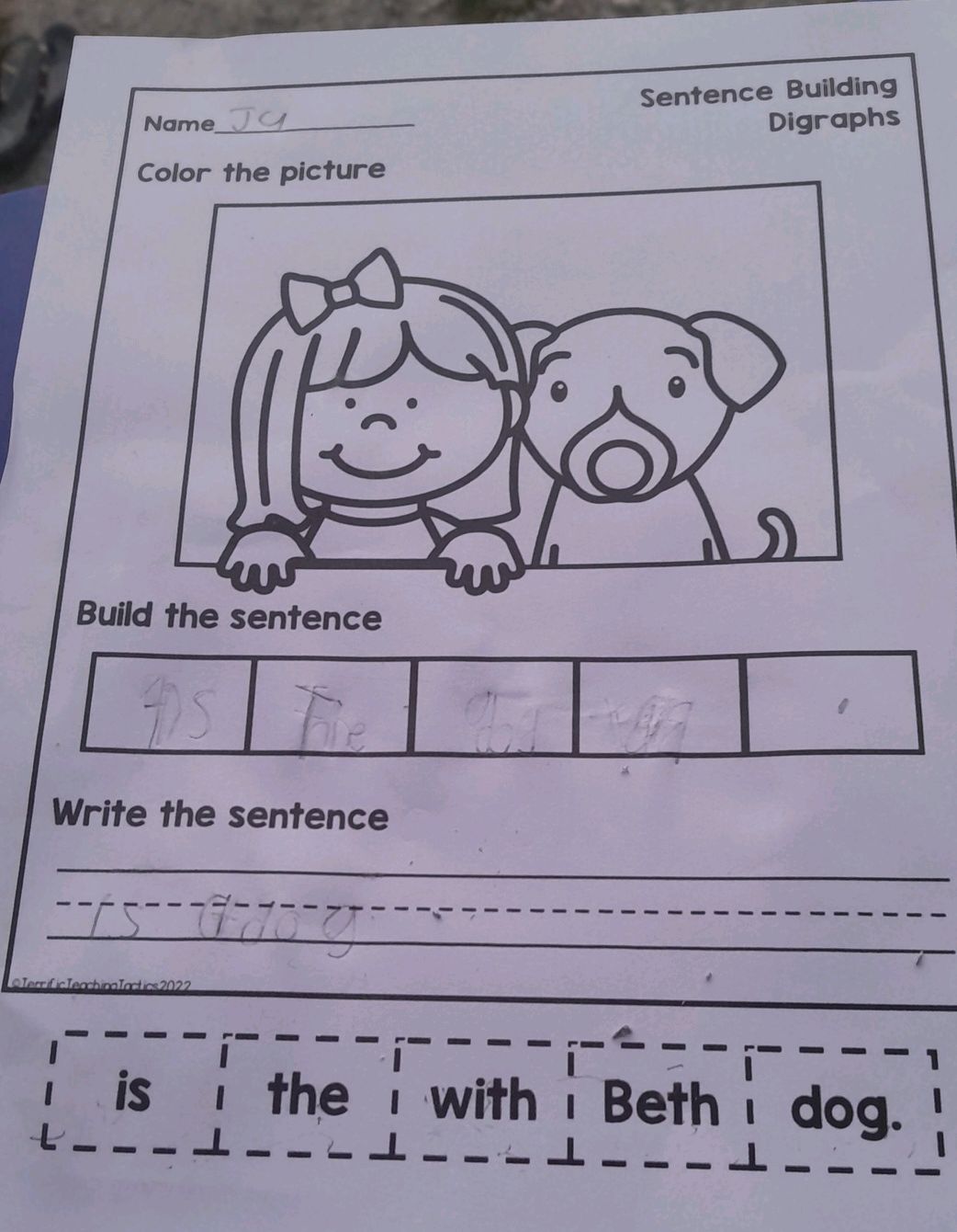 Color the picture Build the sentence Write | StudyX