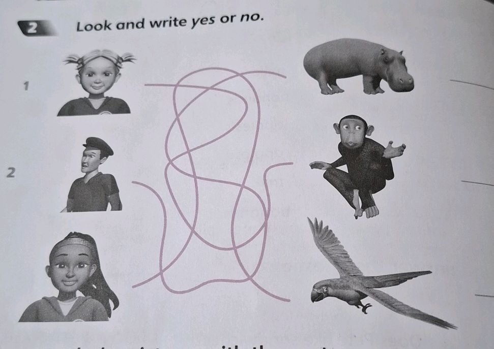Look and write yes or no. The question | StudyX
