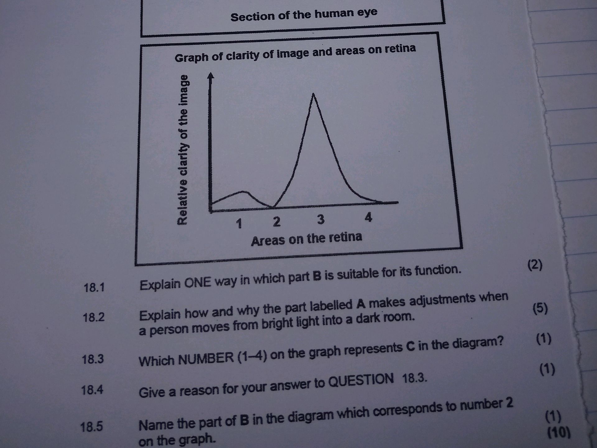 18.1 Explain ONE way in which part B is | StudyX