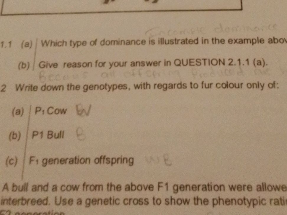1.1 (a) Which type of dominance is | StudyX