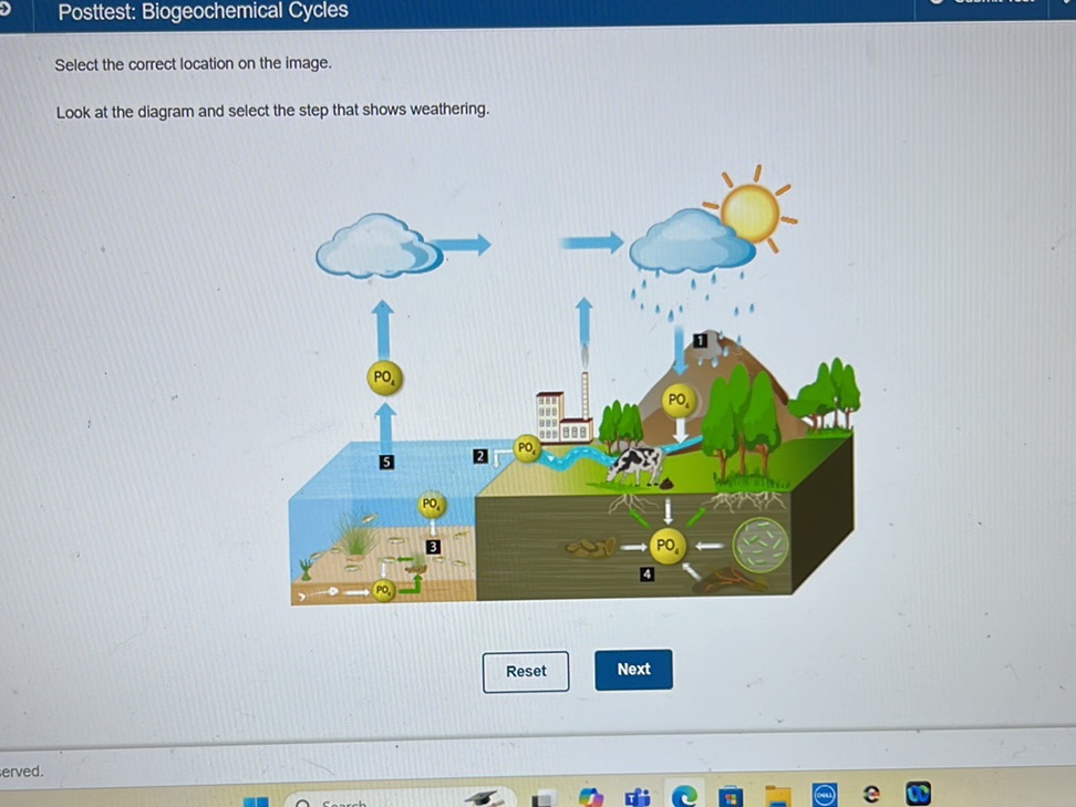 Look at the diagram and select the step that | StudyX