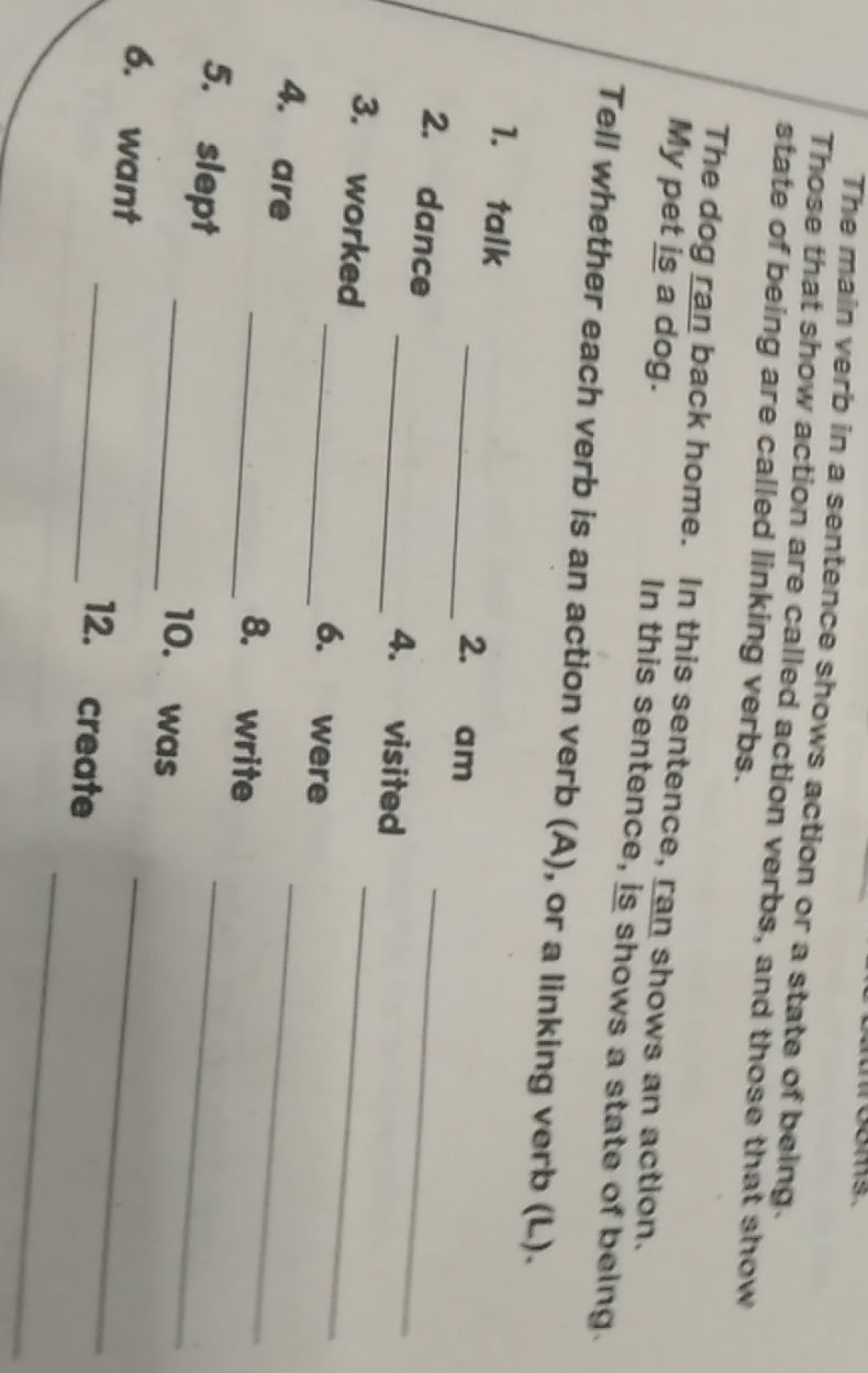 Tell whether each verb is an action verb | StudyX