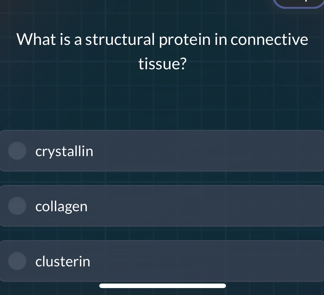 What is a structural protein in connective | StudyX