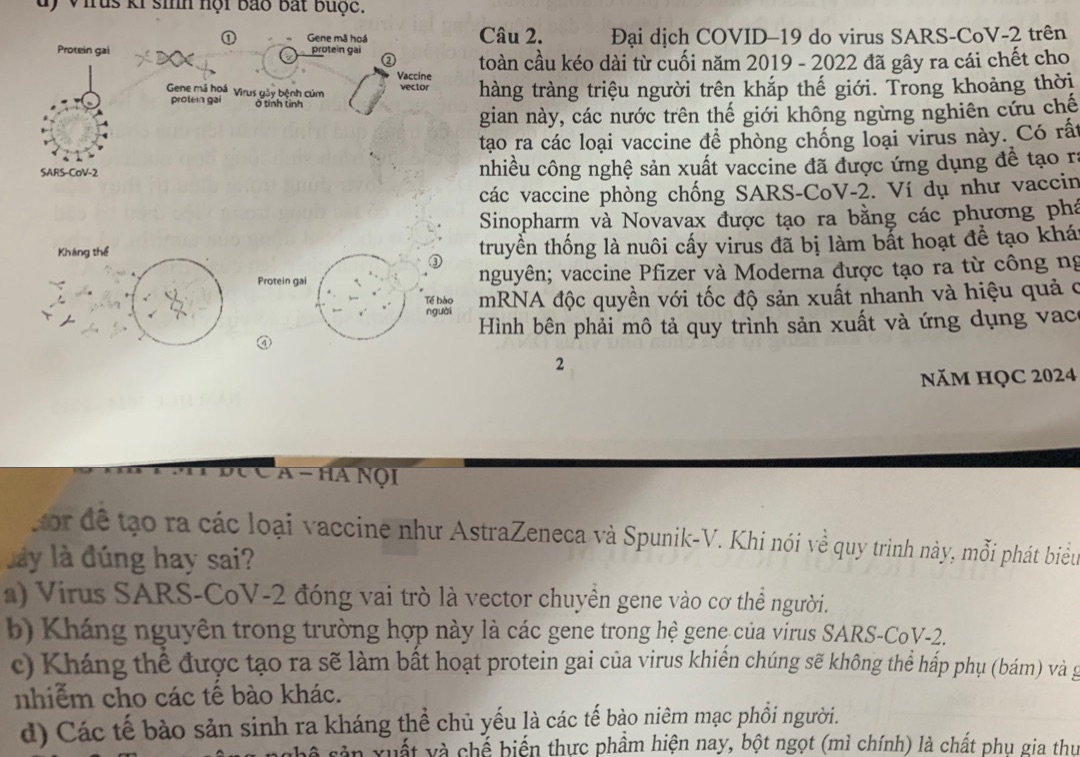 Câu 2. Đại dịch COVID-19 do virus SARS-CoV-2 | StudyX