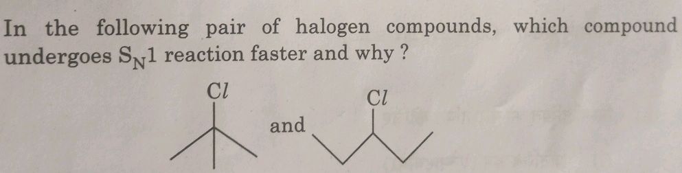 In the following pair of halogen compounds, | StudyX