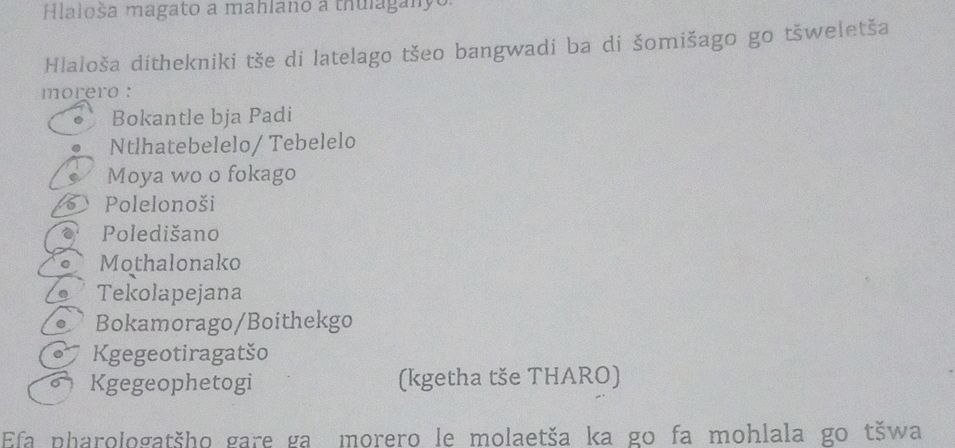 Hlaloša dithekniki tše di latelago tšeo | StudyX