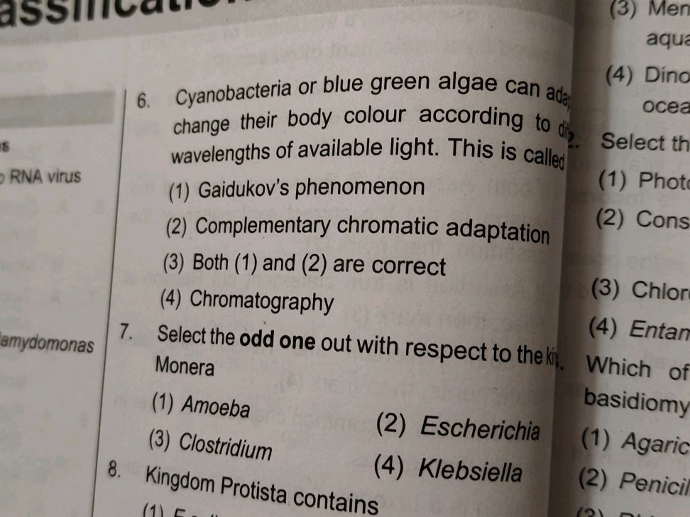 6. Cyanobacteria or blue green algae can | StudyX