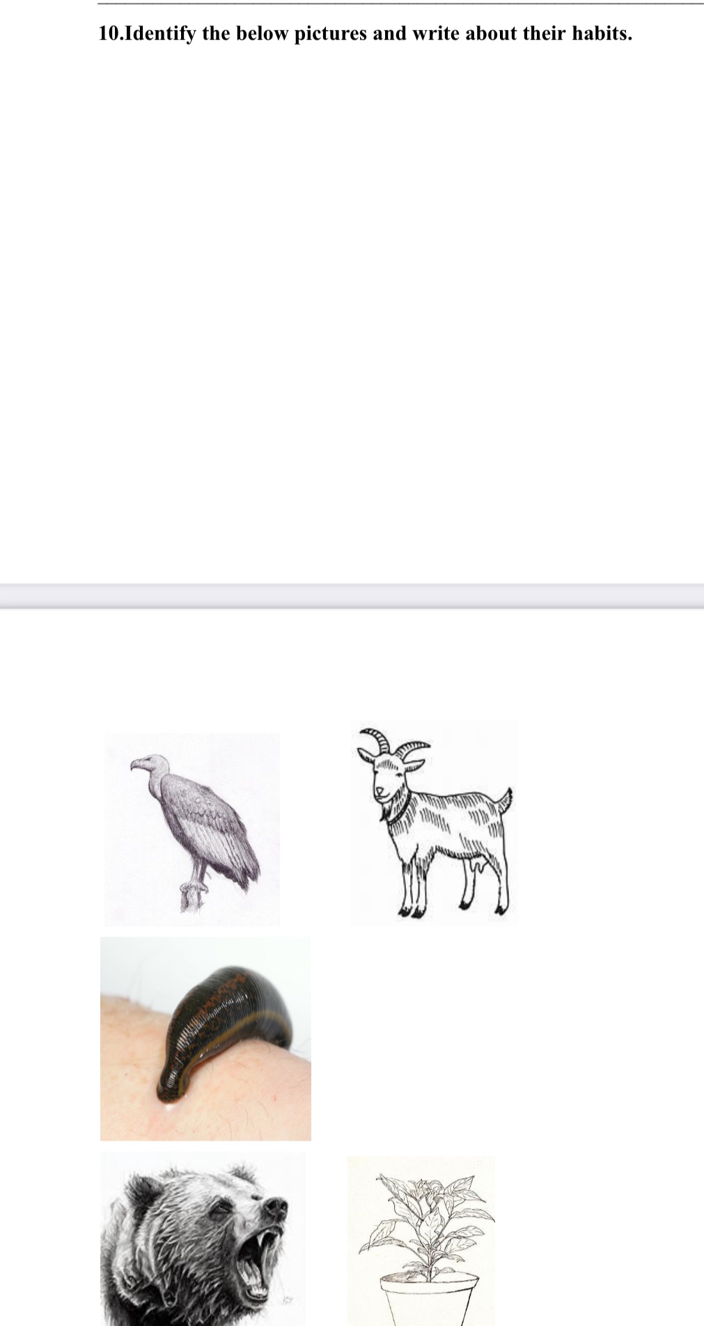 10. Identify the below pictures and write | StudyX