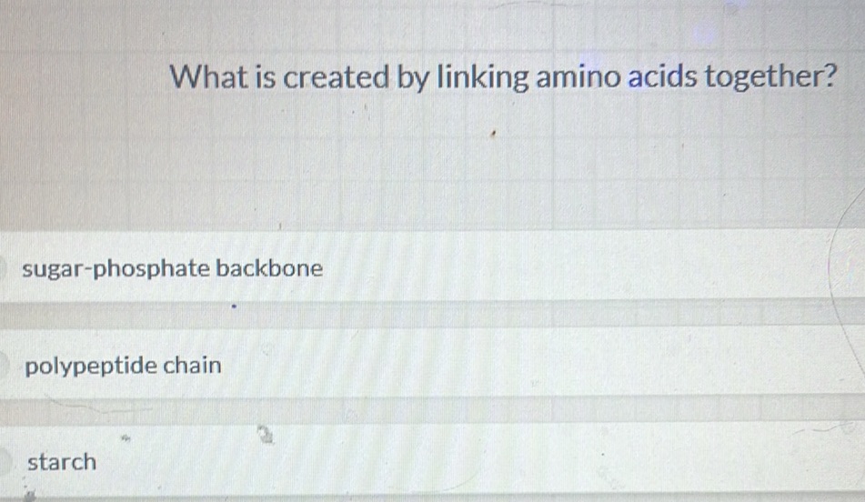 What is created by linking amino acids | StudyX