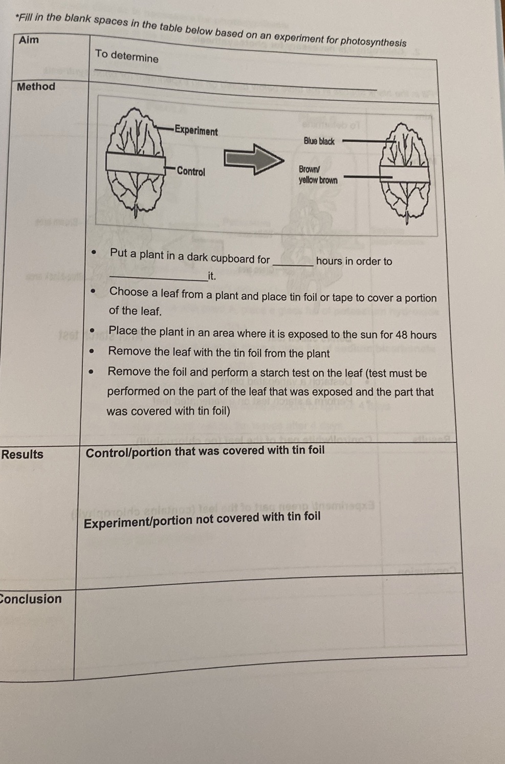 *Fill in the blank spaces in the table below | StudyX