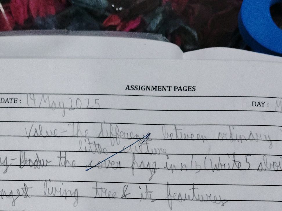 Value - The difference between ordinary | StudyX