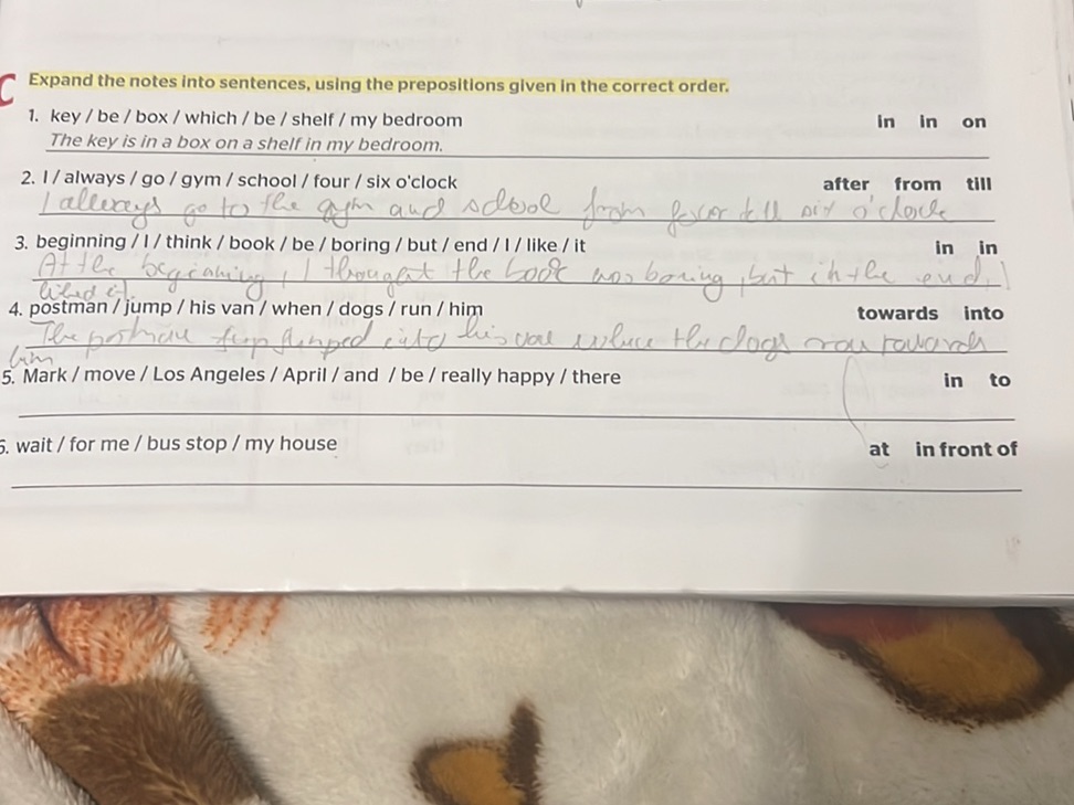 Expand the notes into sentences, using the | StudyX