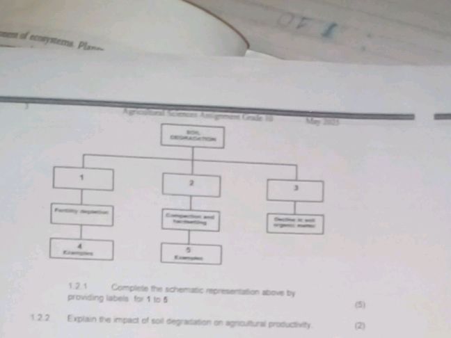 1. Complete the schematic representation | StudyX