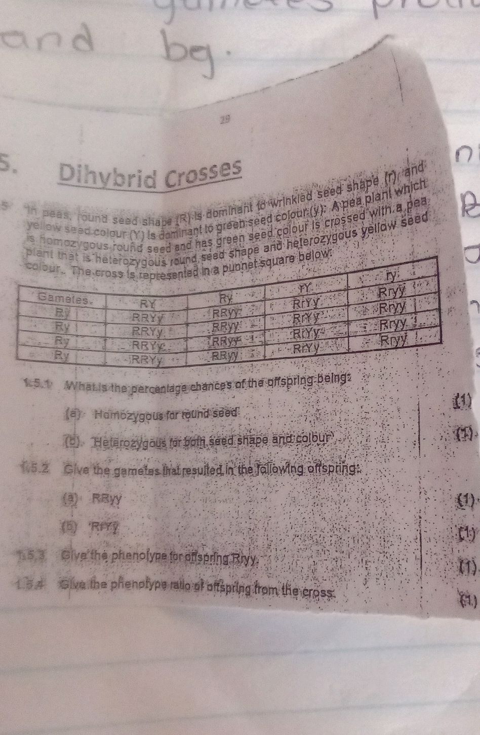 5. Dihybrid Crosses In peas, round seed | StudyX