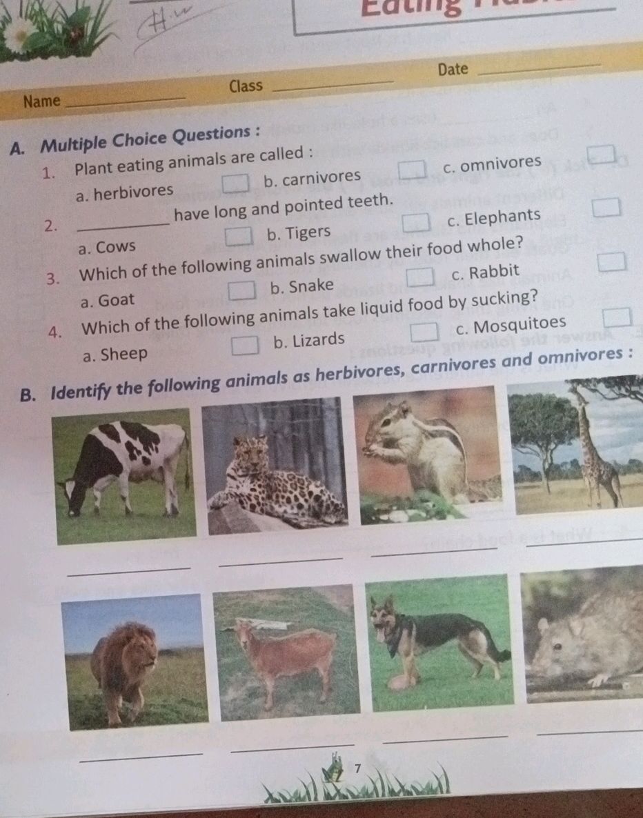 A. Multiple Choice Questions: 1. Plant | StudyX