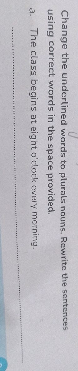 Change the underlined words to plurals | StudyX
