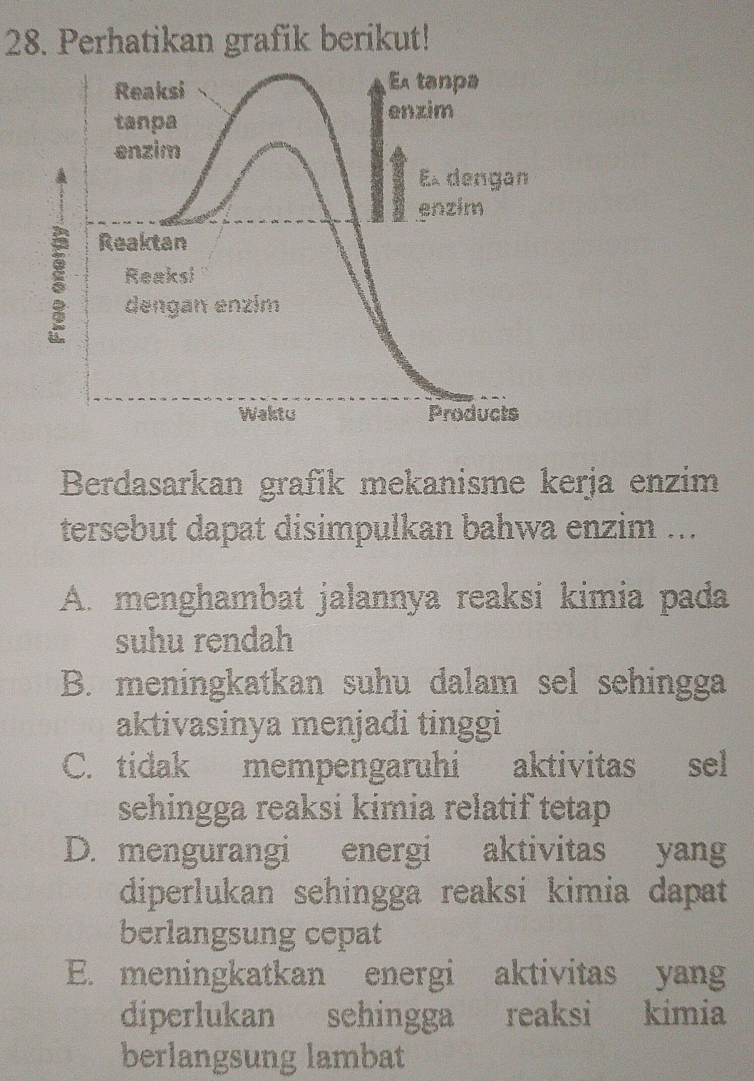 28. Perhatikan grafik berikut! Reaksi tanpa | StudyX
