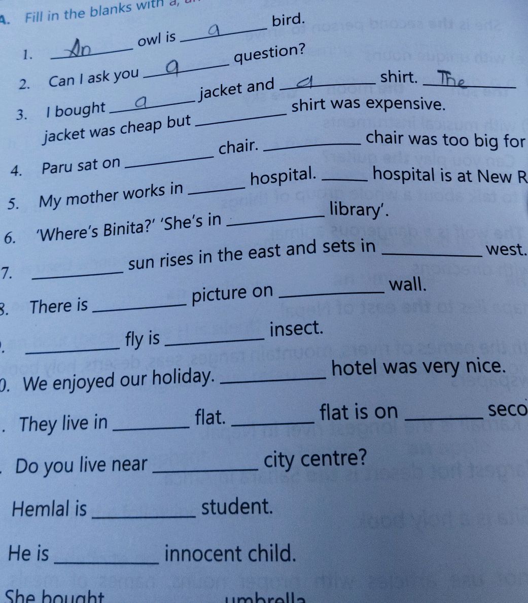 A. Fill in the blanks with a, an 1. An owl | StudyX