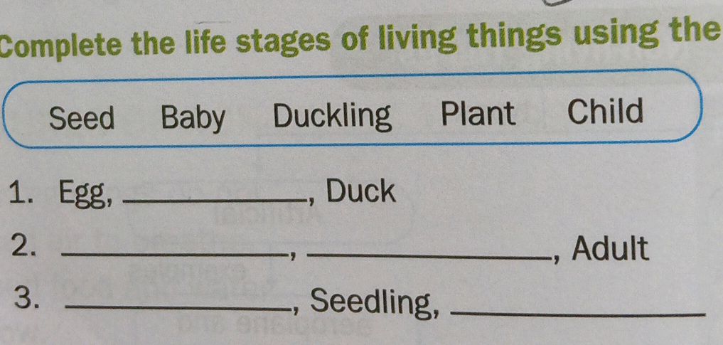 Complete the life stages of living things | StudyX