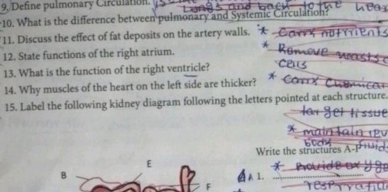 9. Define pulmonary Circulation. 10. What is | StudyX