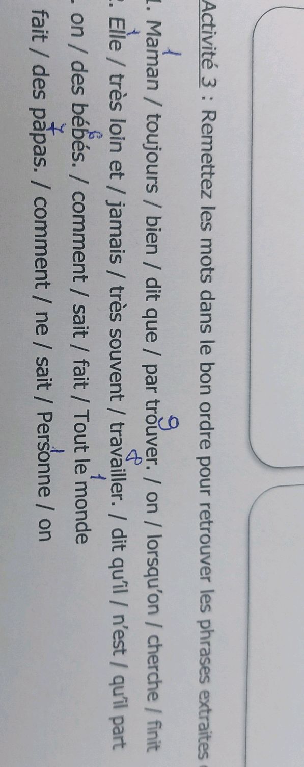 Activité 3 : Remettez les mots dans le bon | StudyX