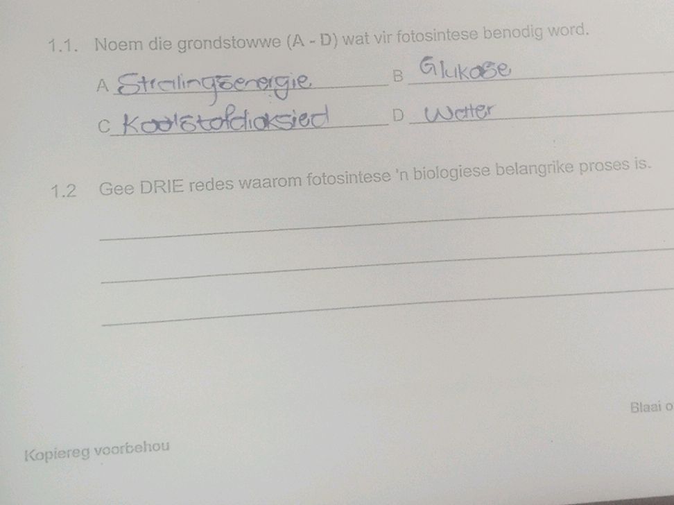 1.1. Noem die grondstowwe (A-D) wat vir | StudyX