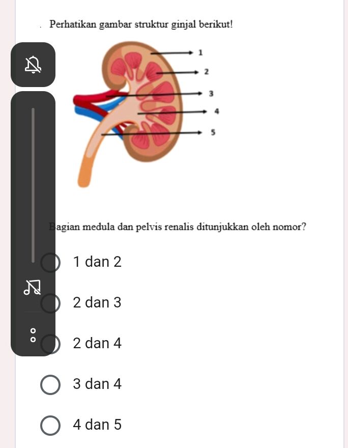Perhatikan gambar struktur ginjal berikut! | StudyX