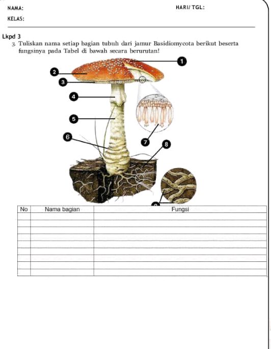 3. Tuliskan nama setiap bagian tubuh dari | StudyX