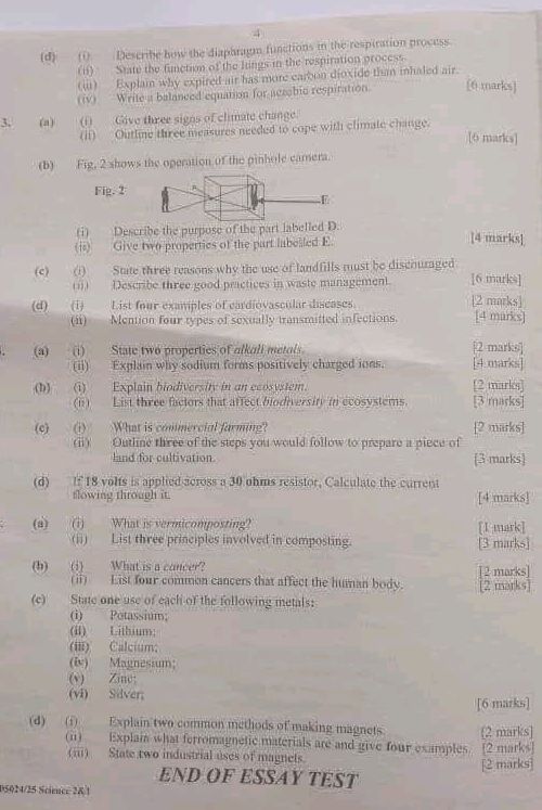 (d) (i) Describe how the diaphragm functions | StudyX