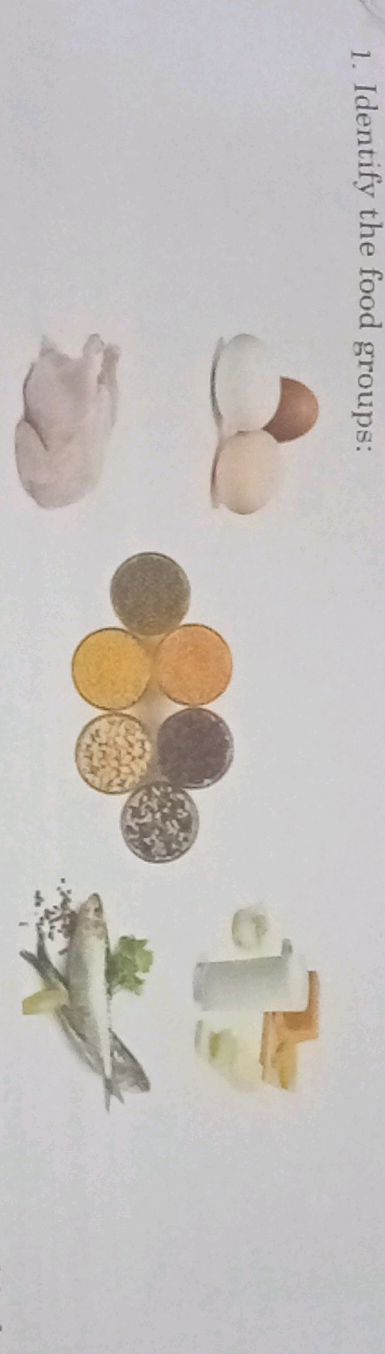 Identify Food Groups | StudyX