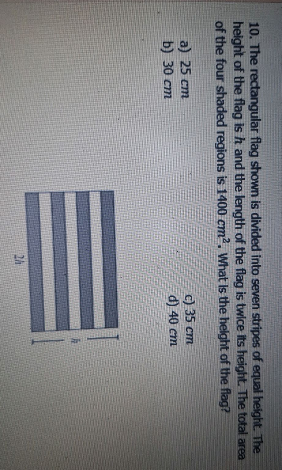 10. The rectangular flag shown is divided | StudyX