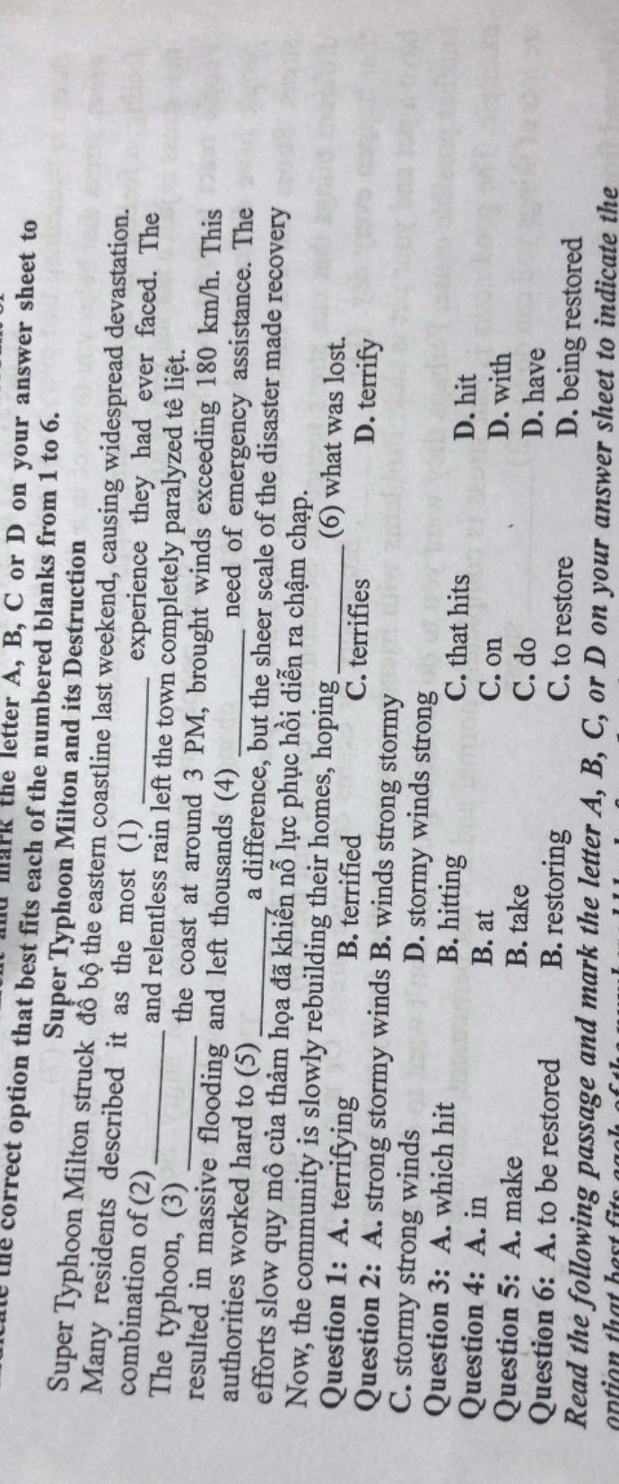 Super Typhoon Milton and its Destruction | StudyX