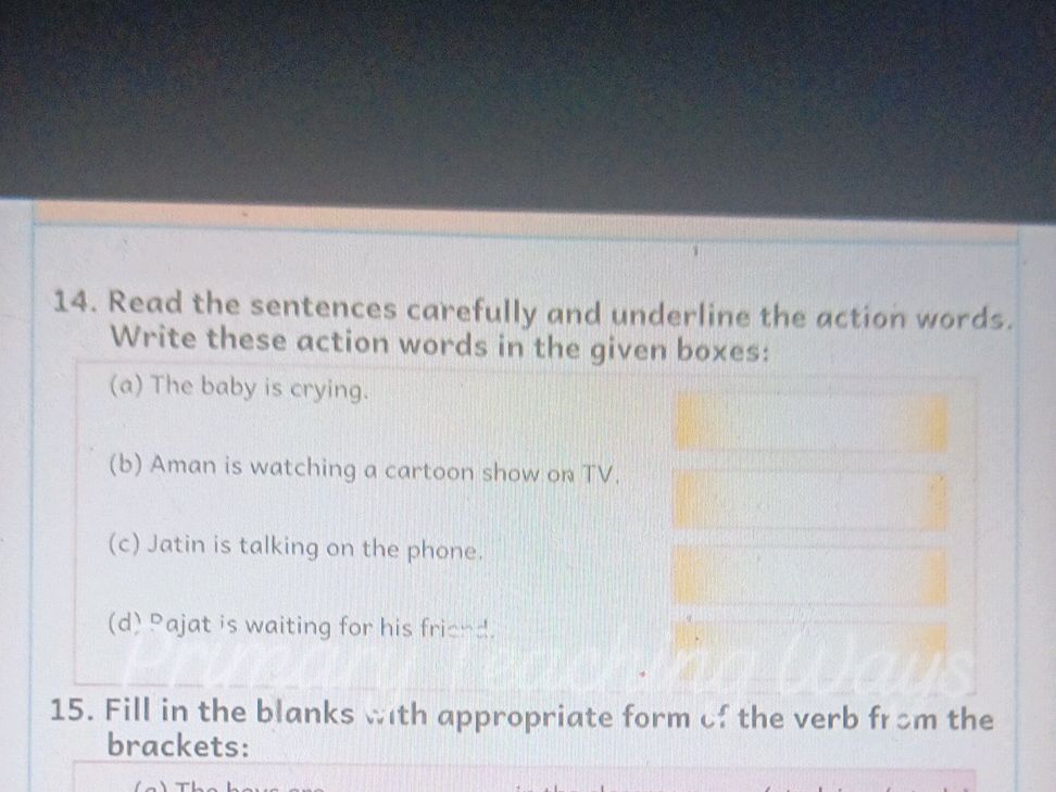 14. Read the sentences carefully and | StudyX