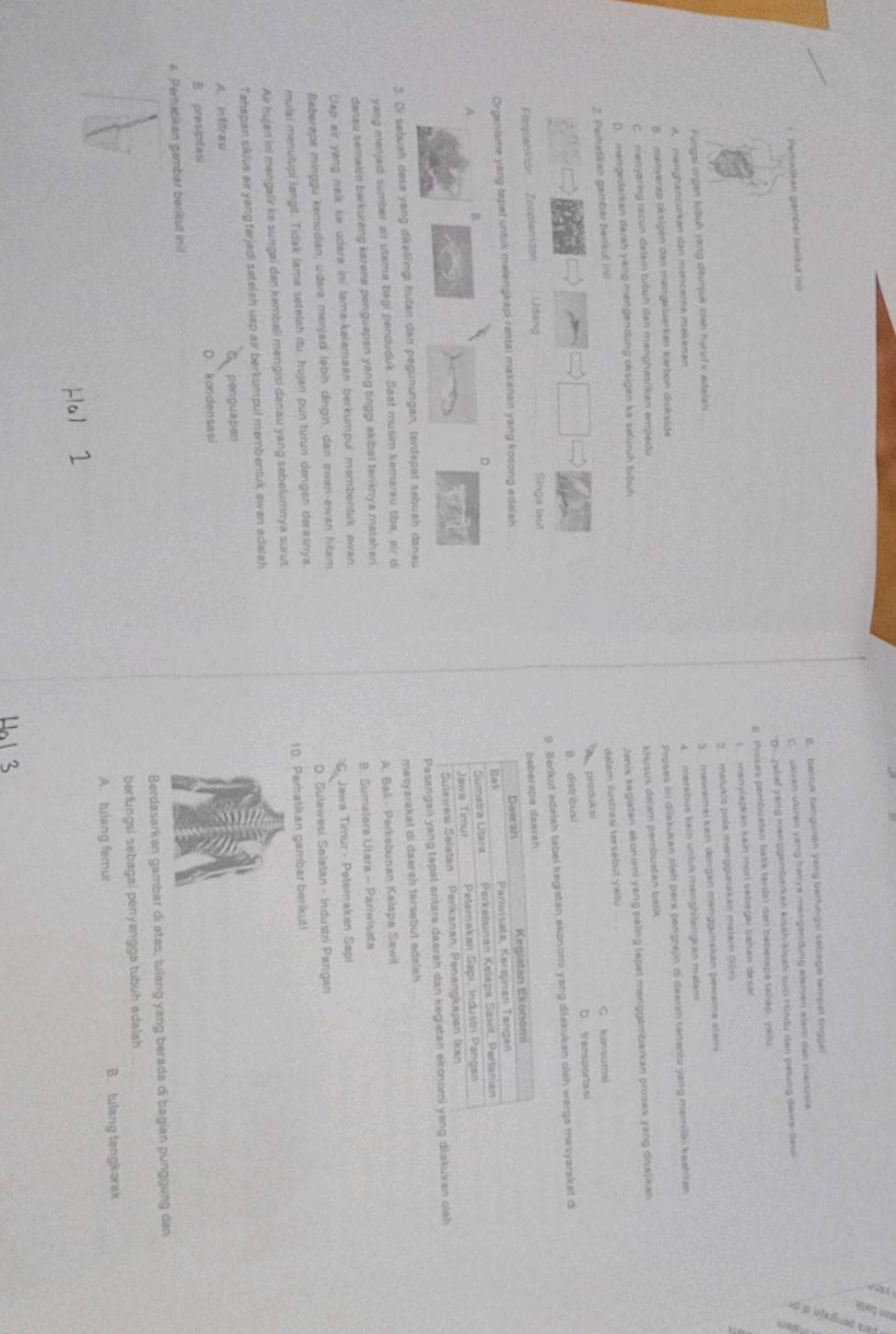 1. Perhatikan gambar berikut ini! Fungsi | StudyX