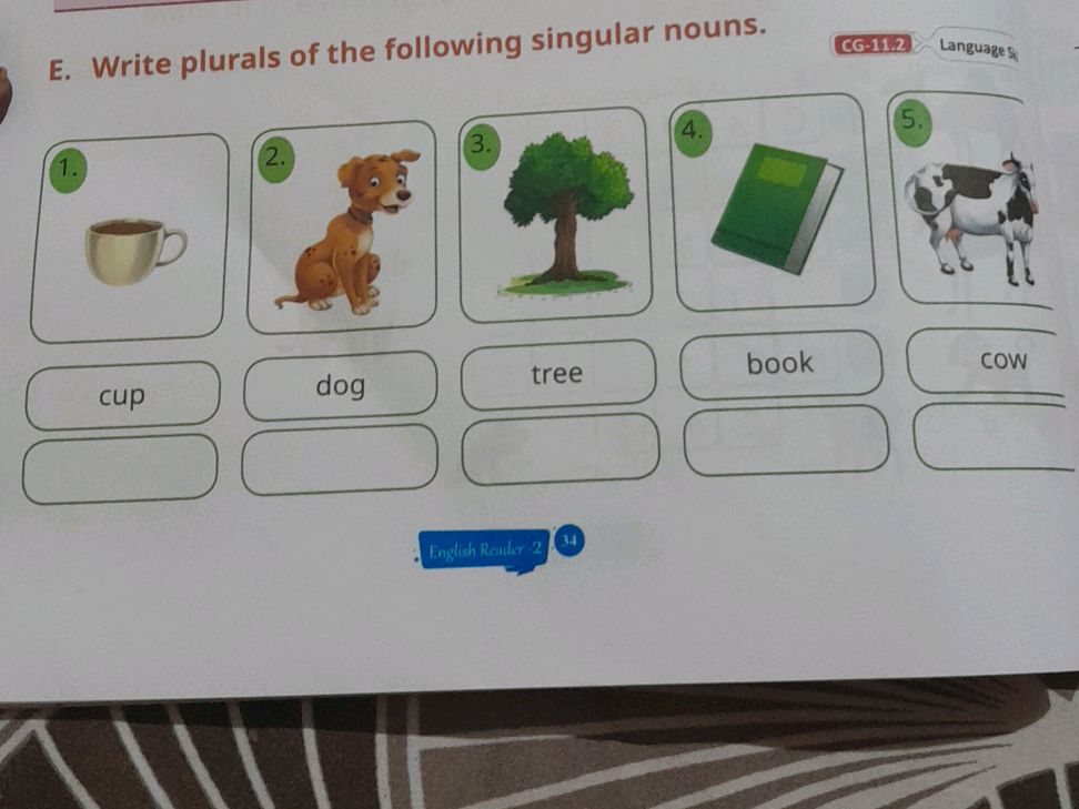 E. Write plurals of the following singular | StudyX