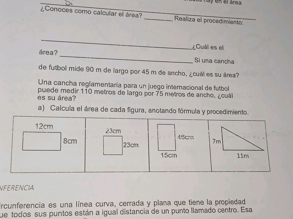 ¿Conoces como calcular el área? ¿Cuál es el | StudyX