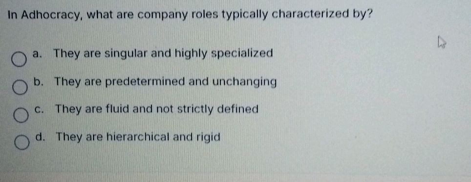 In Adhocracy, what are company roles | StudyX