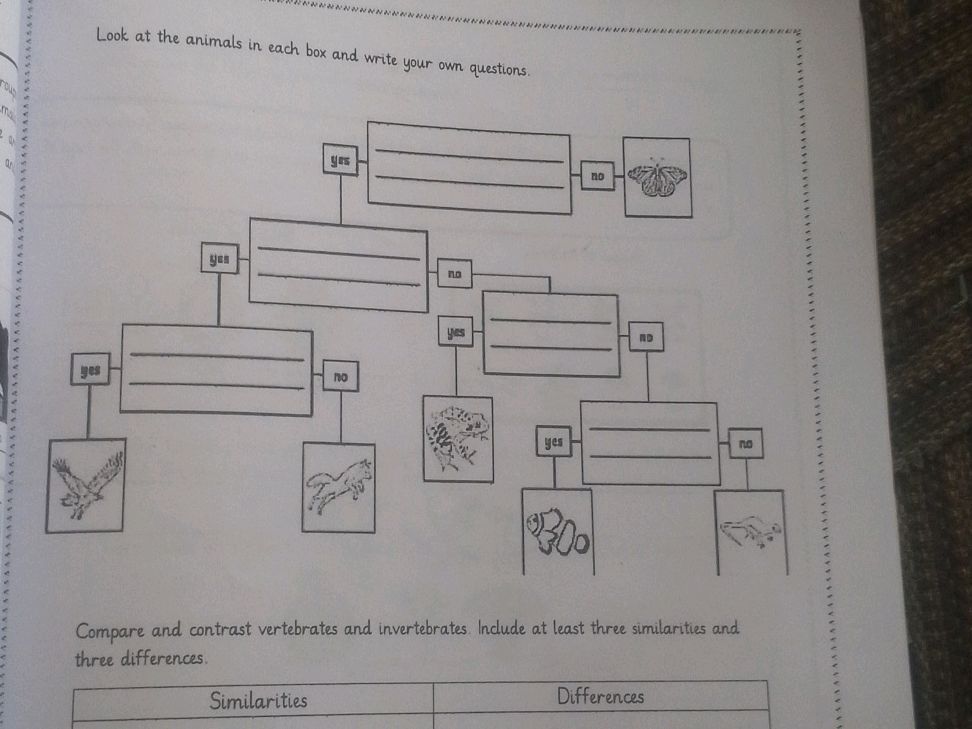 Look at the animals in each box and write | StudyX