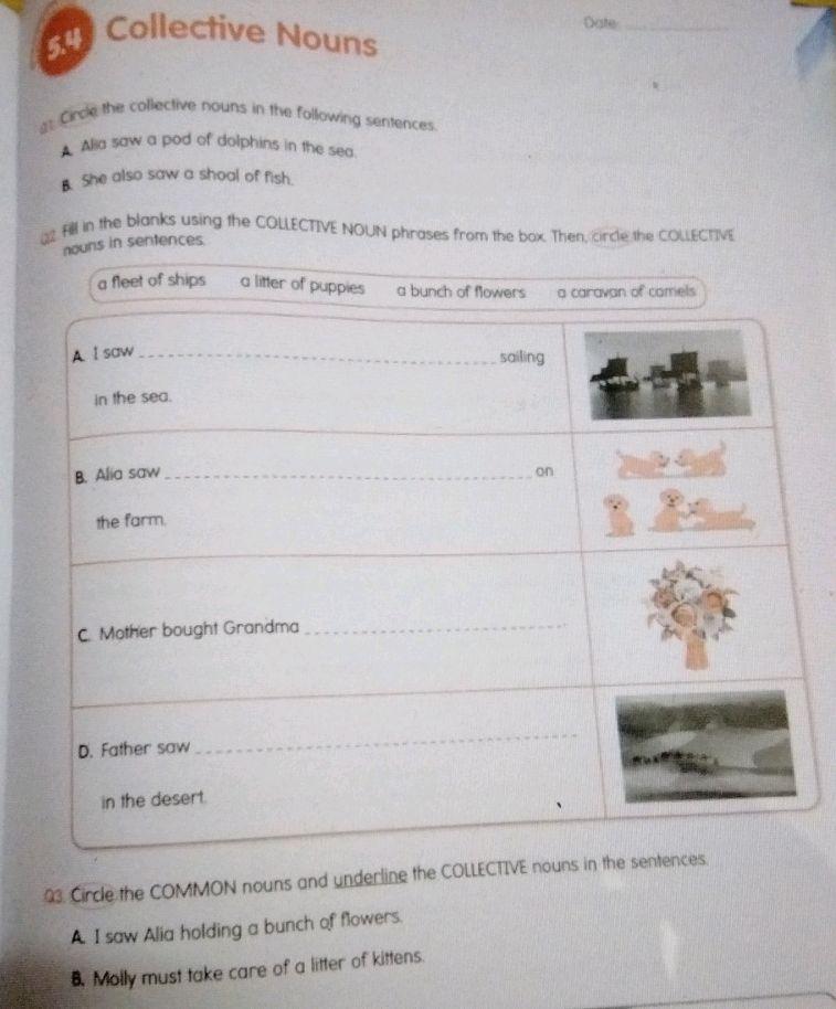 Q1. Circle the collective nouns in the | StudyX