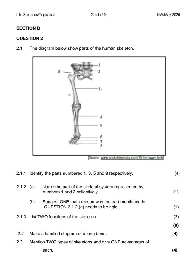 2.1 The diagram below show parts of the | StudyX