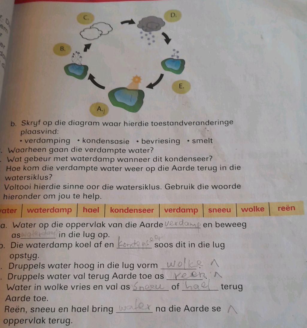 b. Skryf op die diagram waar hierdie | StudyX