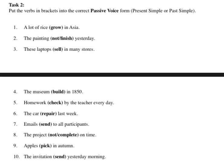 Task 2: Put the verbs in brackets into the | StudyX