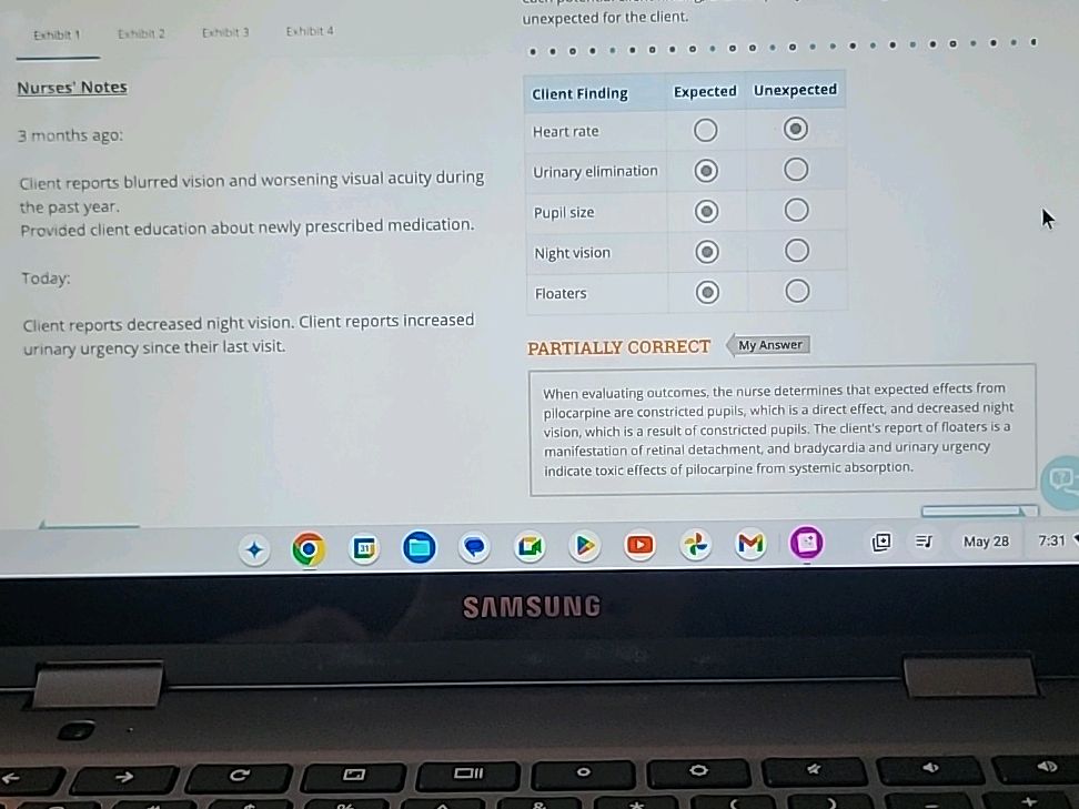 Nurses' Notes 3 months ago: Client reports | StudyX