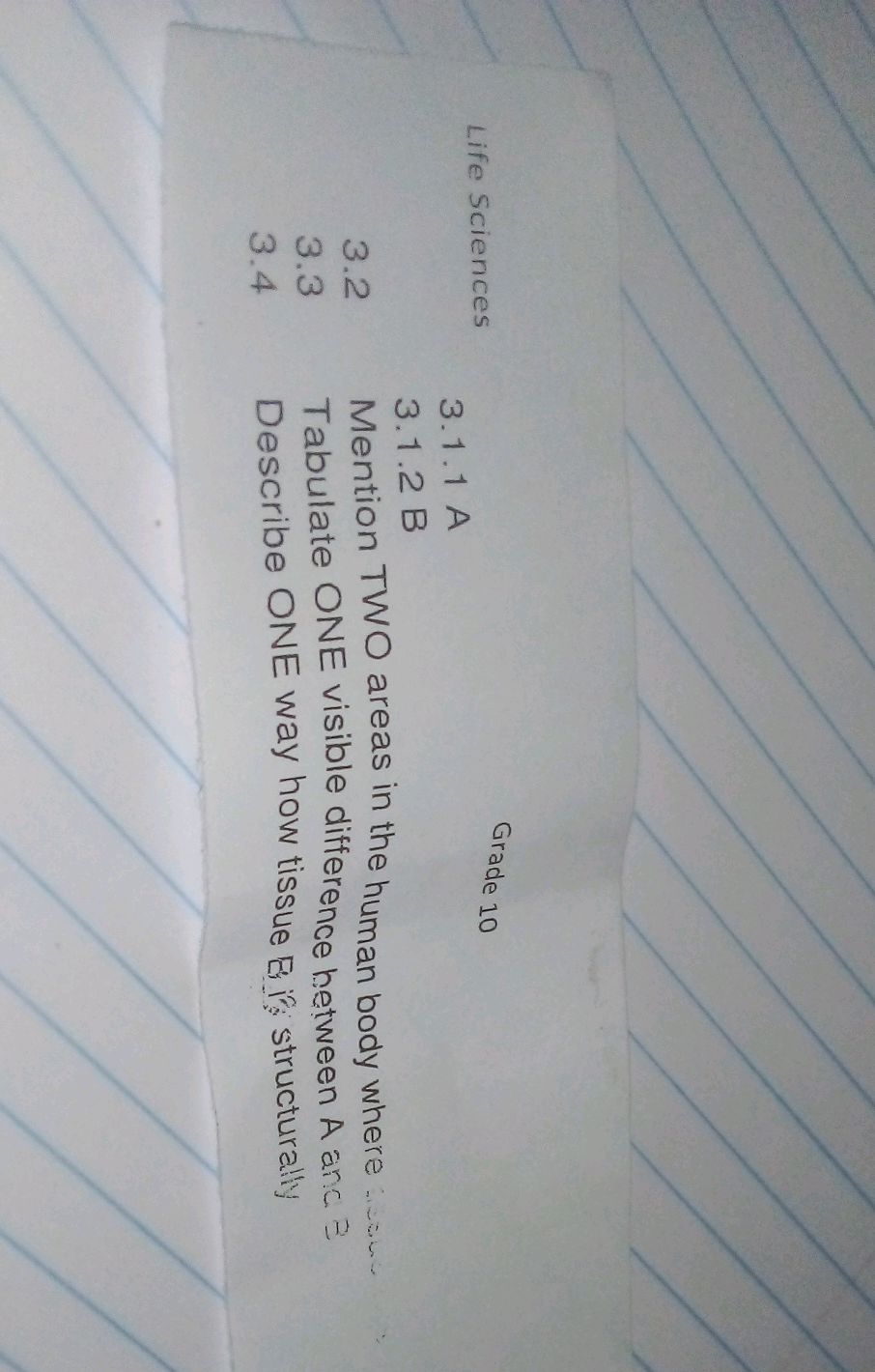 3. 2 Mention TWO areas in the human body | StudyX