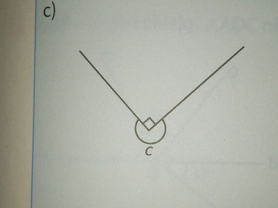 c) This image contains a diagram of an