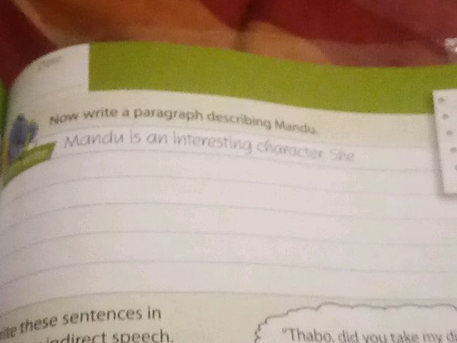 Now write a paragraph describing Mandu Mandu | StudyX