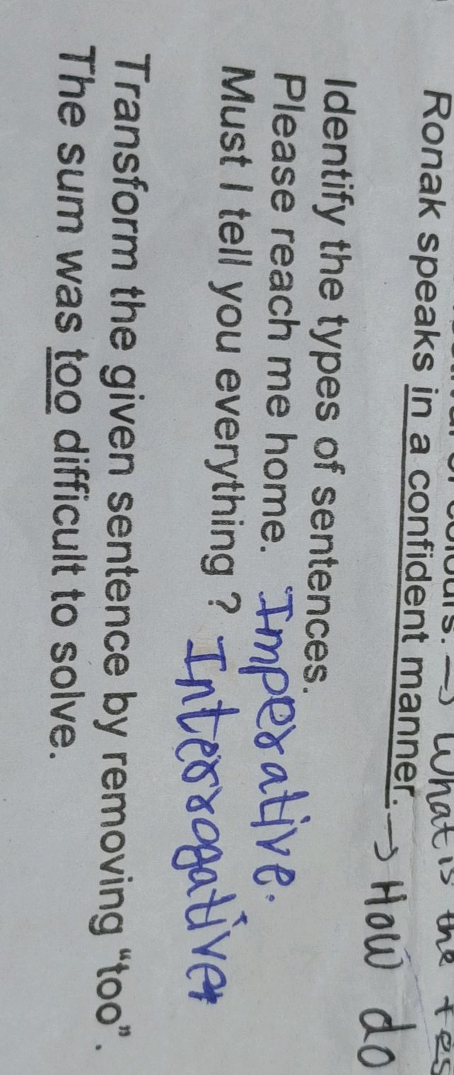 Identify the types of sentences. Please | StudyX